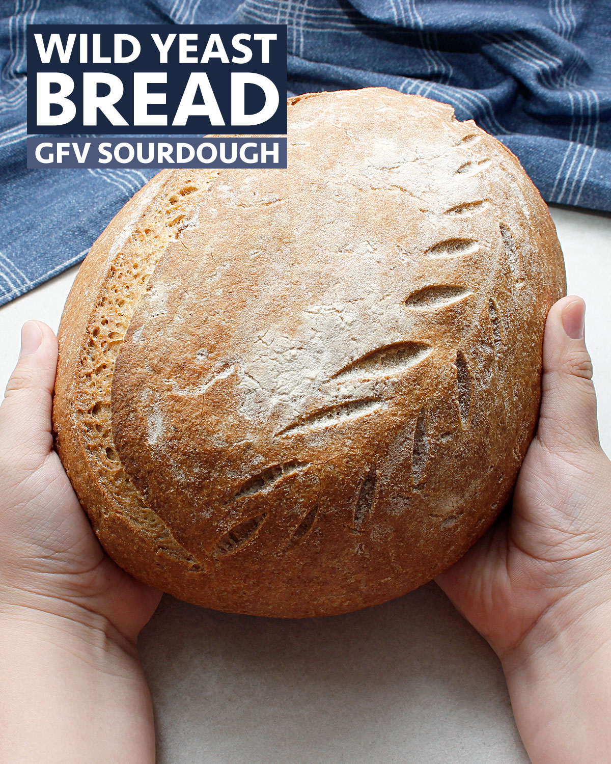How to Make WILD YEAST BREAD (GF, Vegan, AF Sourdough Recipe)
